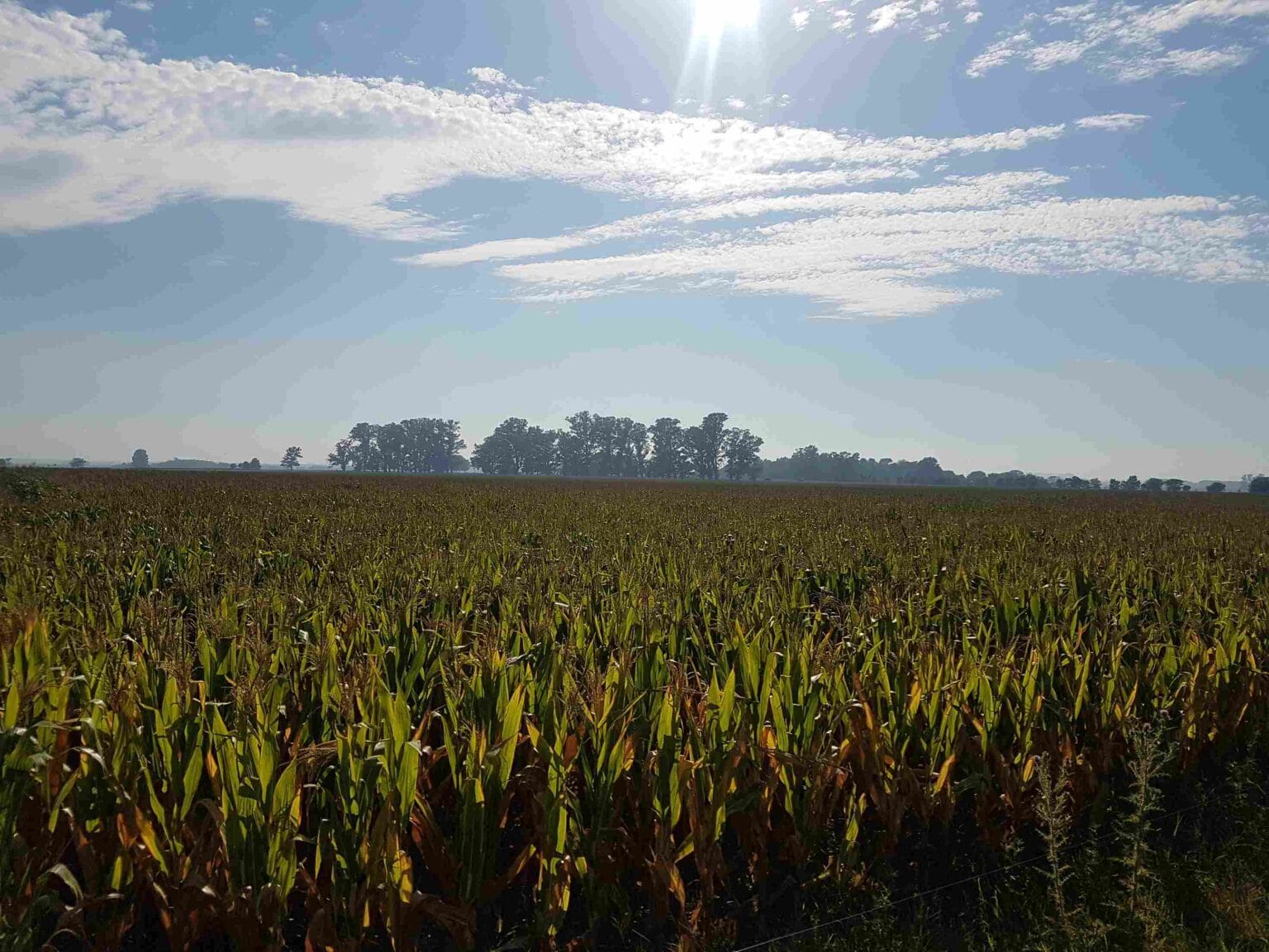 Agricultural Tour in the Pampas Argentina | Camino Pampa