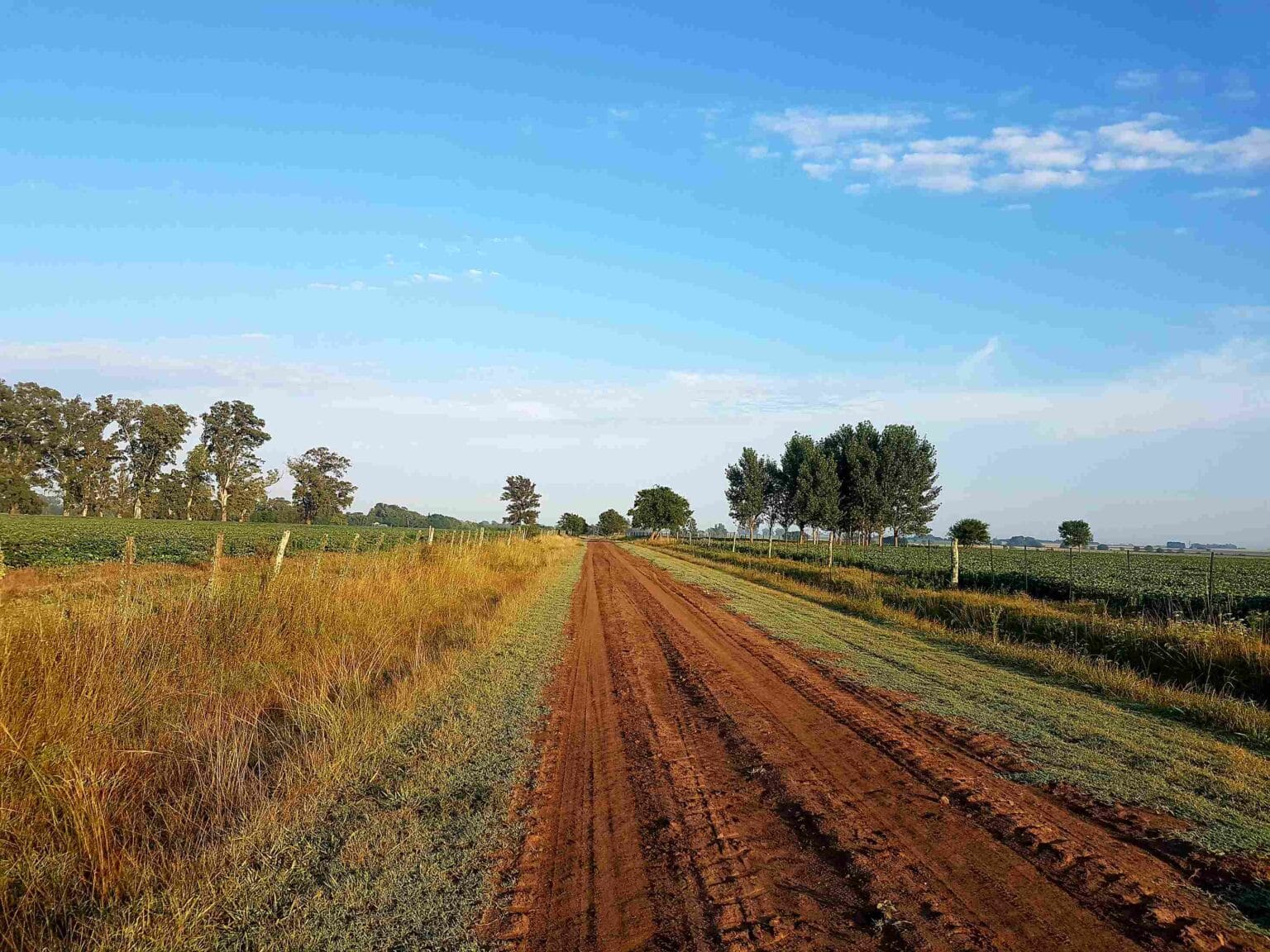 Farm Tour in the Pampas Argentina | Camino Pampa