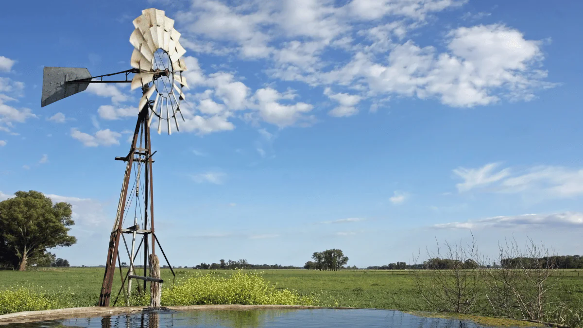 Buenos Aires Day Trip to the Pampas Argentina